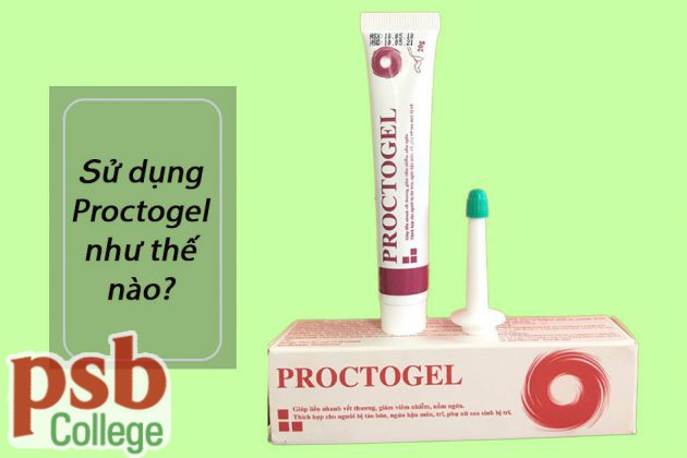 Gel bôi trĩ Proctogel: Có tốt không? Giá bán, công dụng và cách dùng